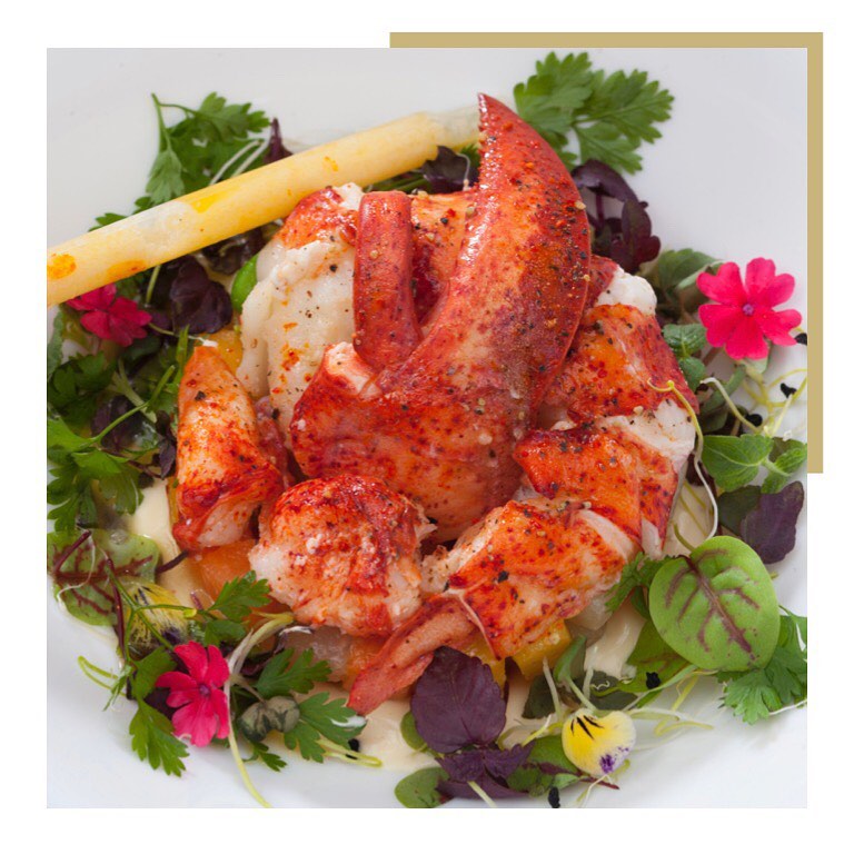 Gastronomy - Potel et Chabot